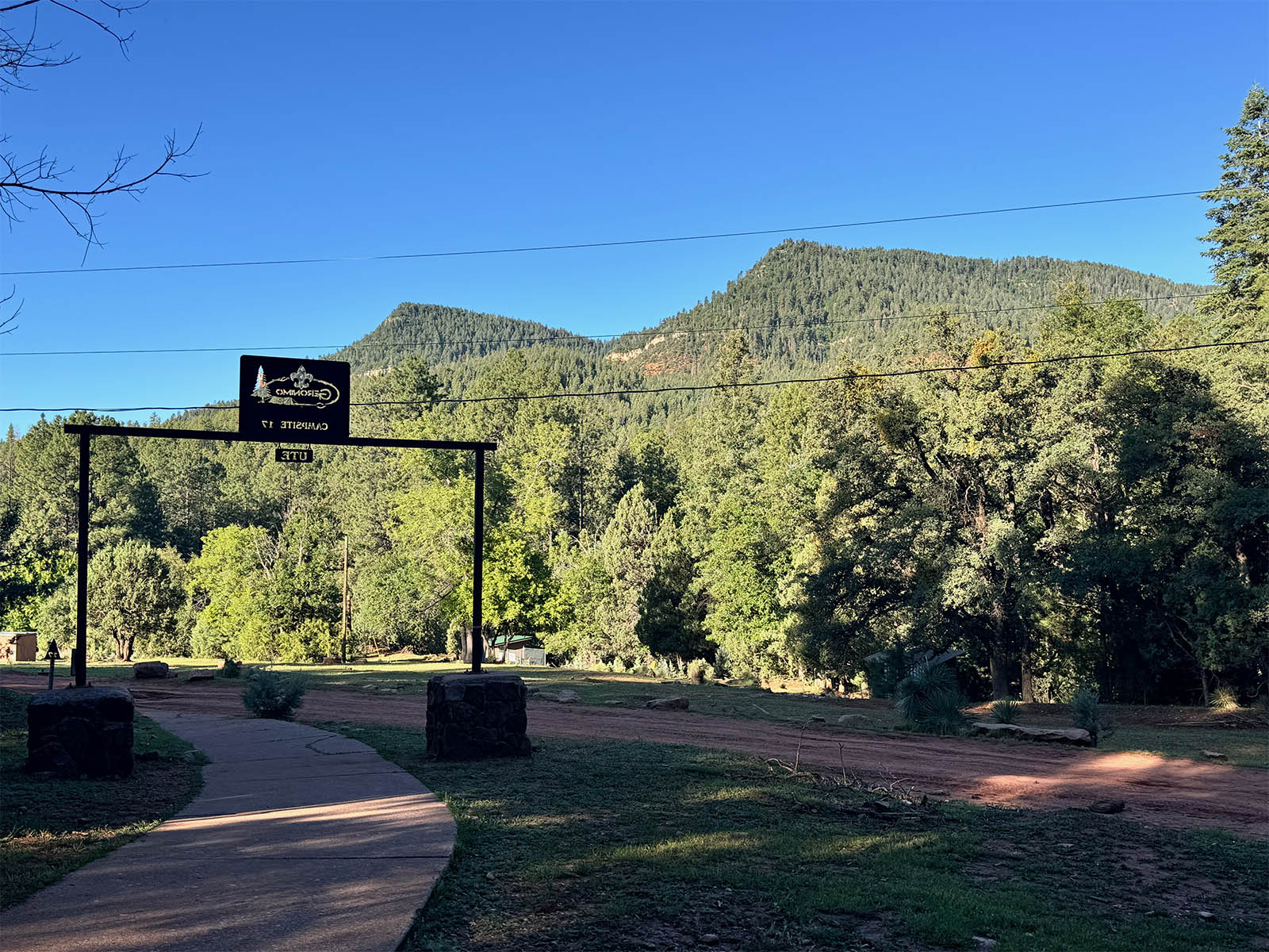 Adrienne Vincent-Phoenix