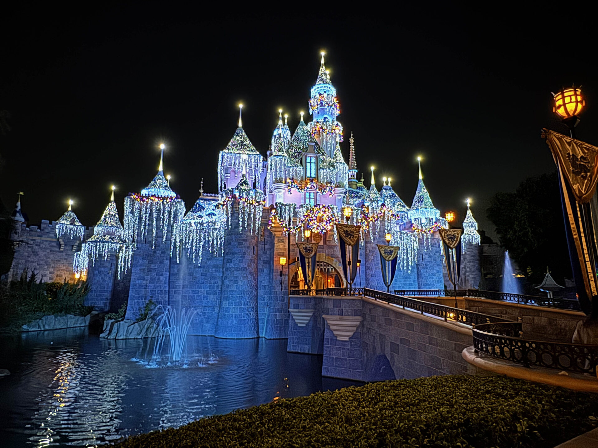 Disneyland Resort Update for November 25, 2024