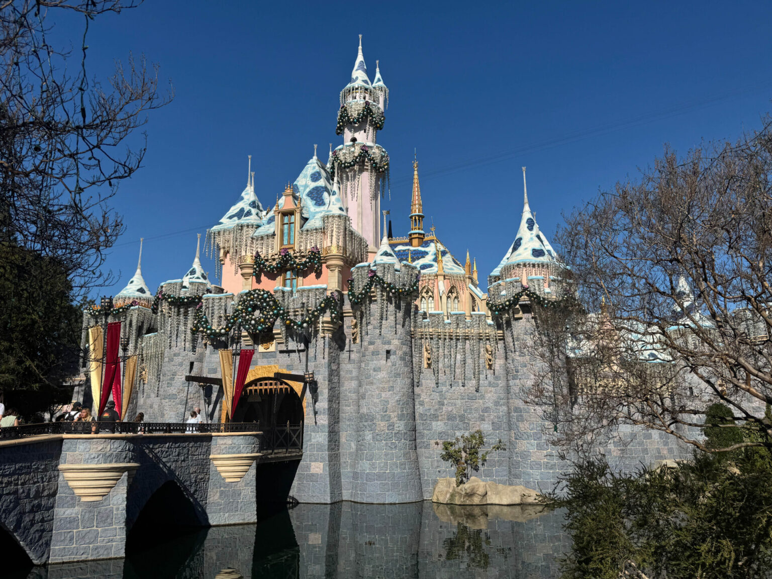 Disneyland Resort Update
