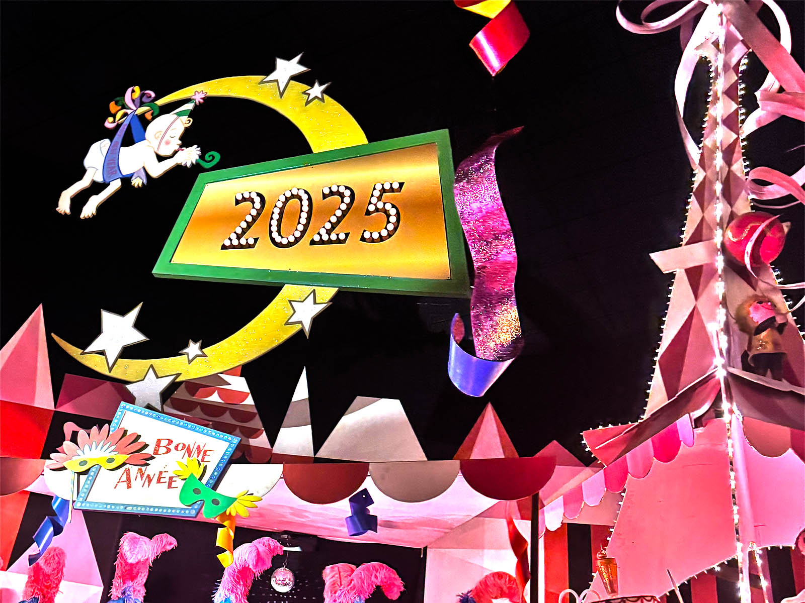Disneyland Resort Update for December 31, 2024
