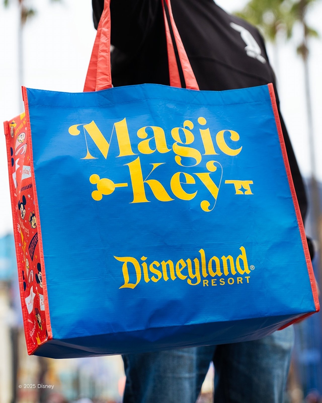 New Disneyland Magic Key goes on sale January 13