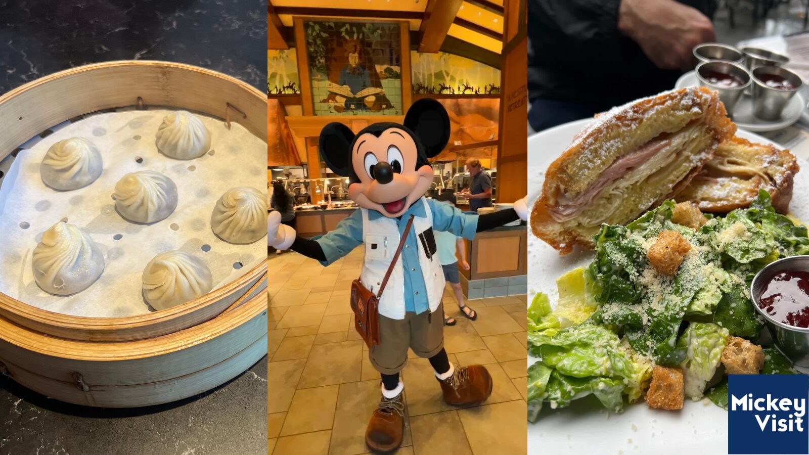 Mickey Visit